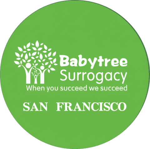 BabyTree California Surrogacy - Top Choice California Surrogacy Agency ...